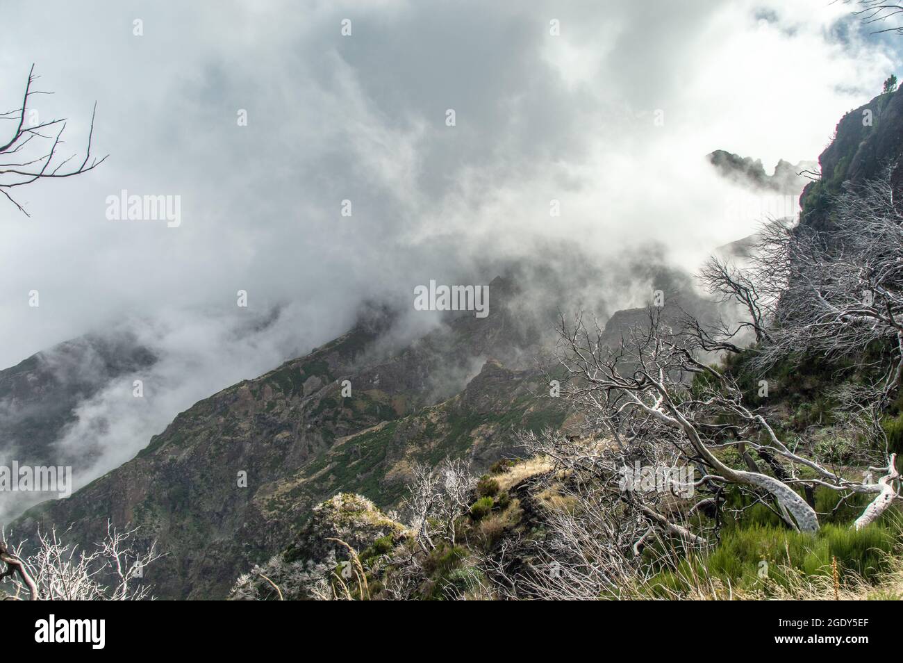 Landscape of mountains in Madera island Stock Photo - Alamy