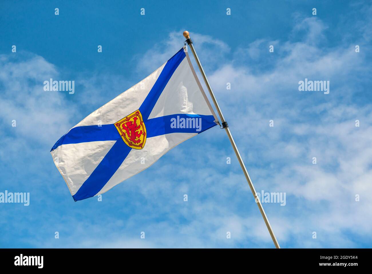 Nova Scotia Flag in Halifax Stock Photo - Alamy