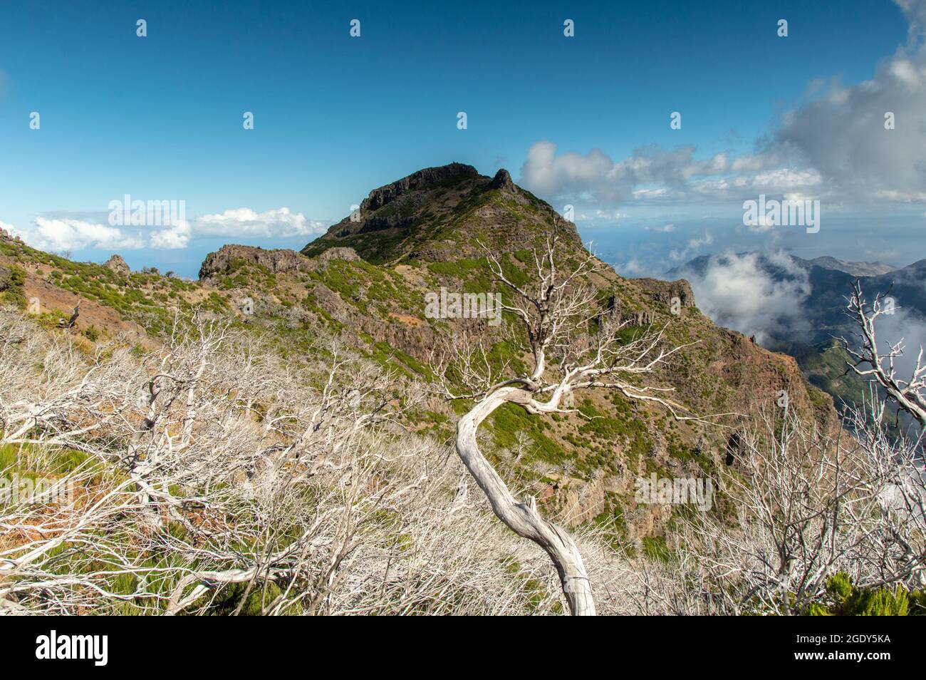 Landscape of mountains in Madera island Stock Photo - Alamy