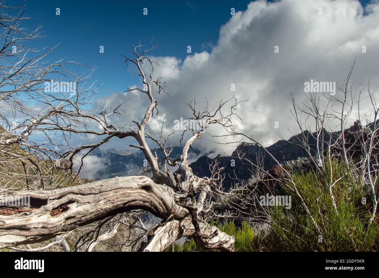 Landscape of mountains in Madera island Stock Photo - Alamy