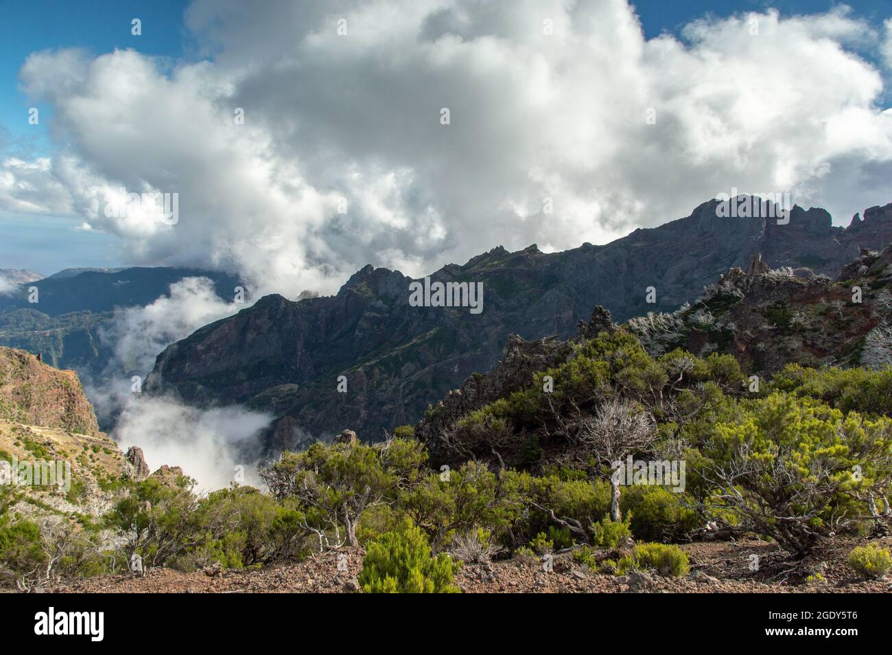 Landscape of mountains in Madera island Stock Photo - Alamy