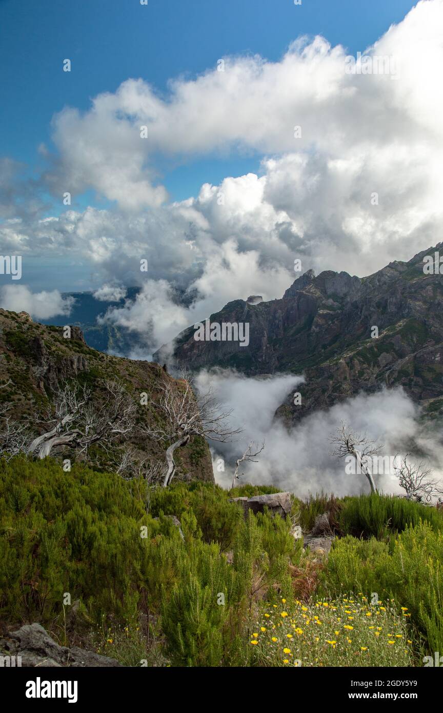 Landscape of mountains in Madera island Stock Photo - Alamy