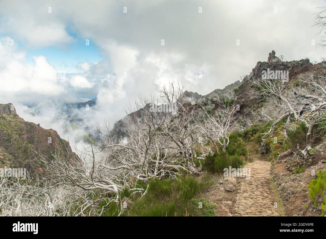 Landscape of mountains in Madera island Stock Photo - Alamy