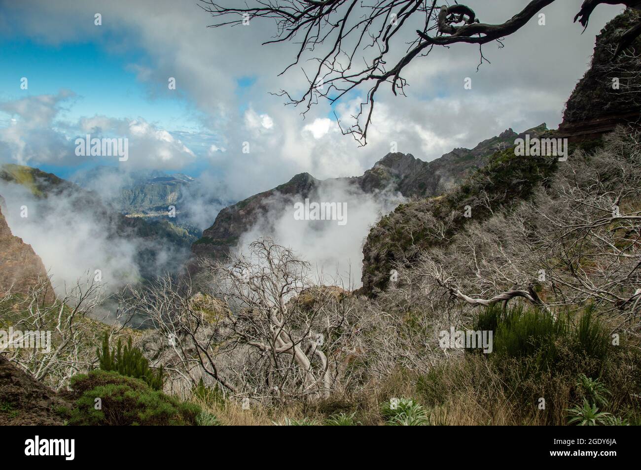 Landscape of mountains in Madera island Stock Photo - Alamy