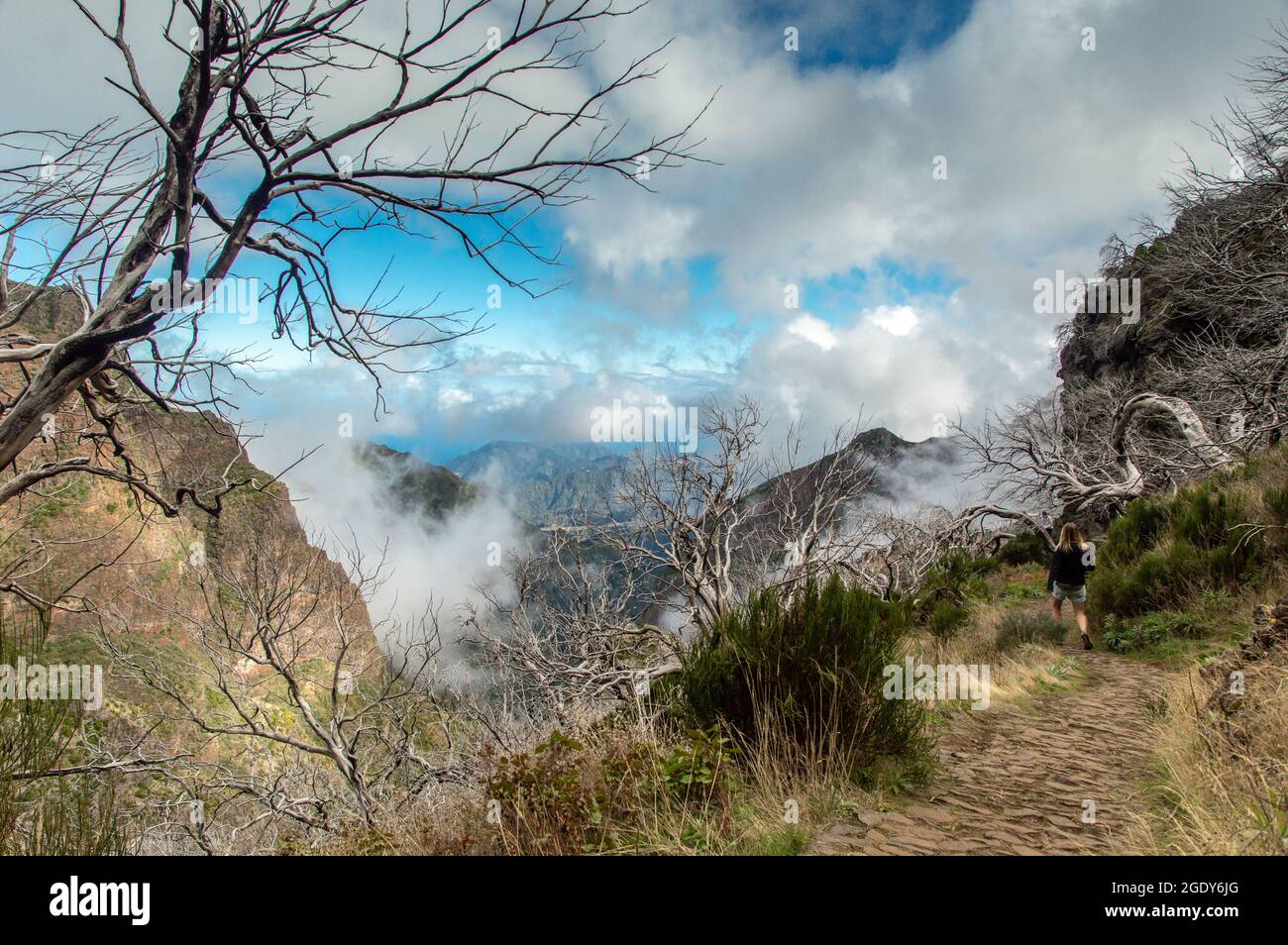 Landscape of mountains in Madera island Stock Photo - Alamy