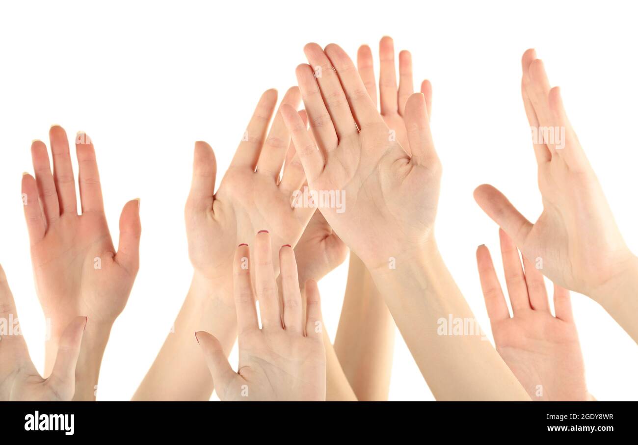 Group of people raising hands isolated on white background Stock Photo ...