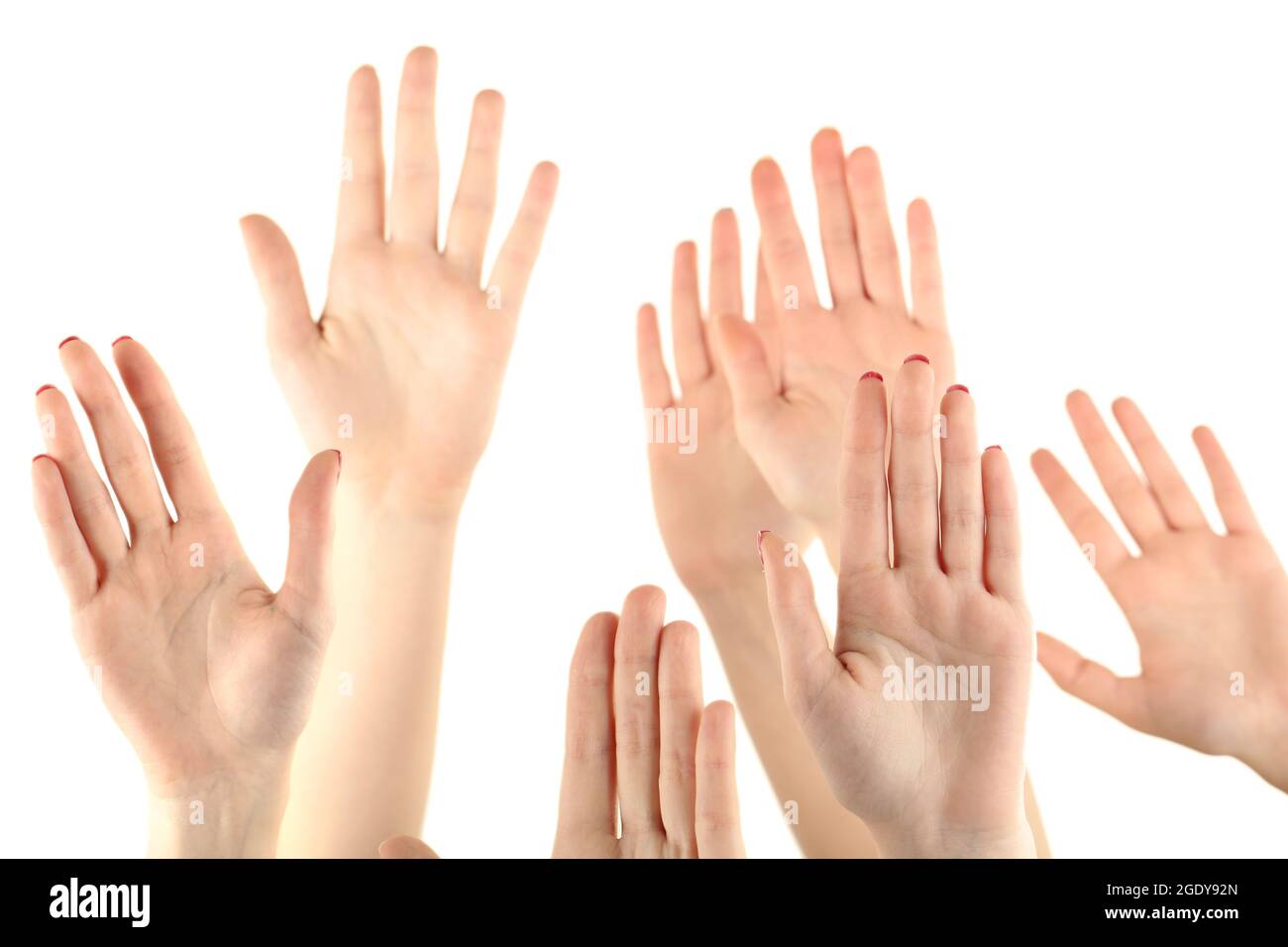 Group of people raising hands isolated on white background Stock Photo ...