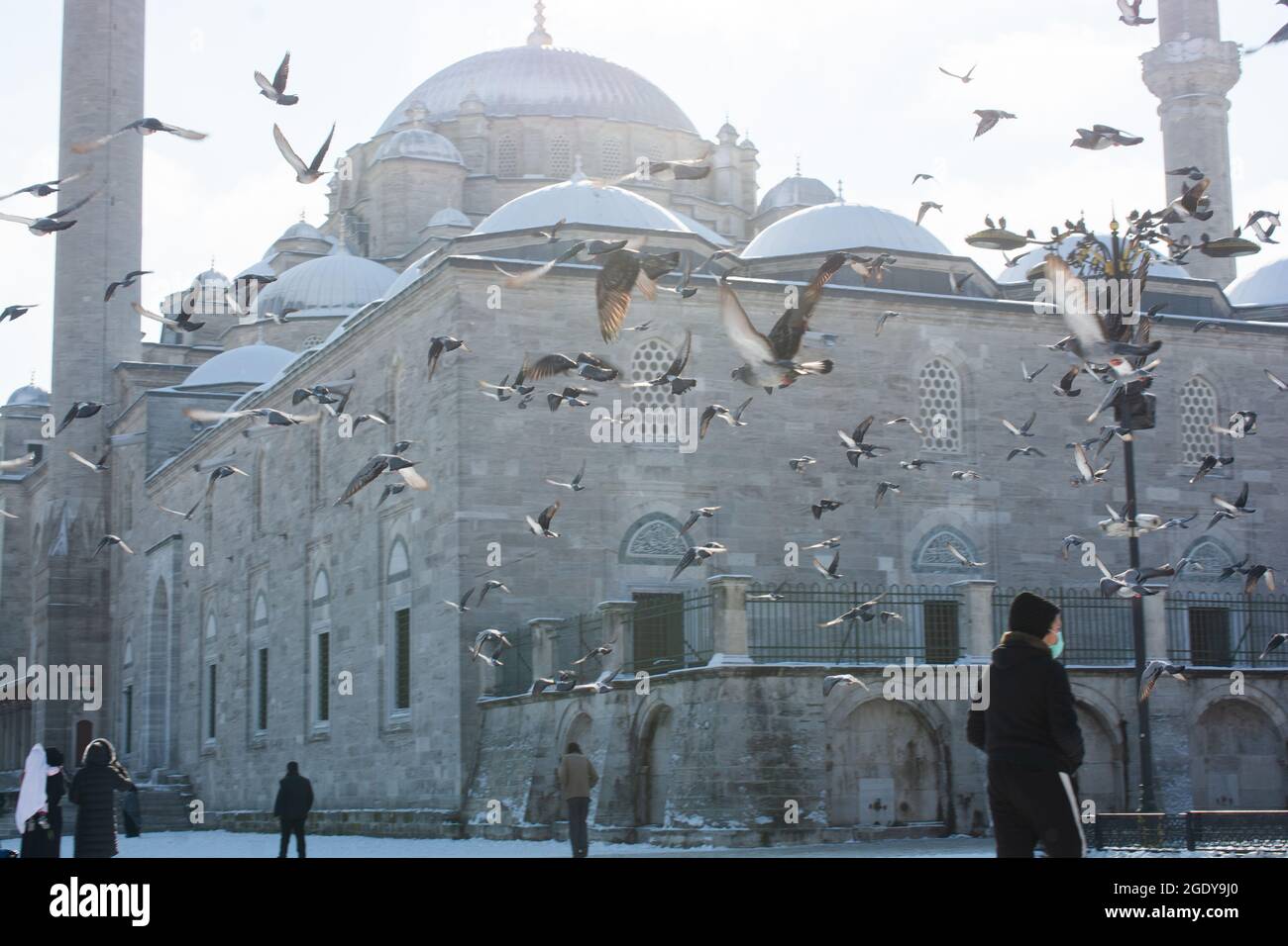 Pigeon flying around the mosque minarets Stock Photo - Alamy