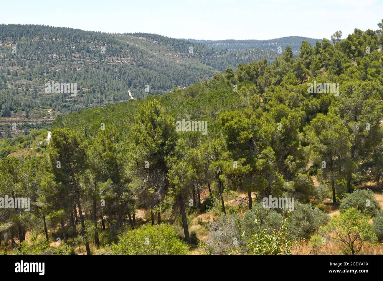 The mountains of judea hi-res stock photography and images - Alamy