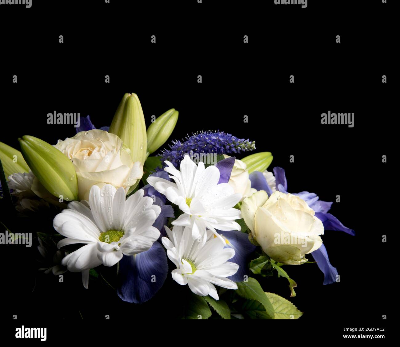 Funeral Bouquet purple White flowers, Sympathy and Condolence Concept ...