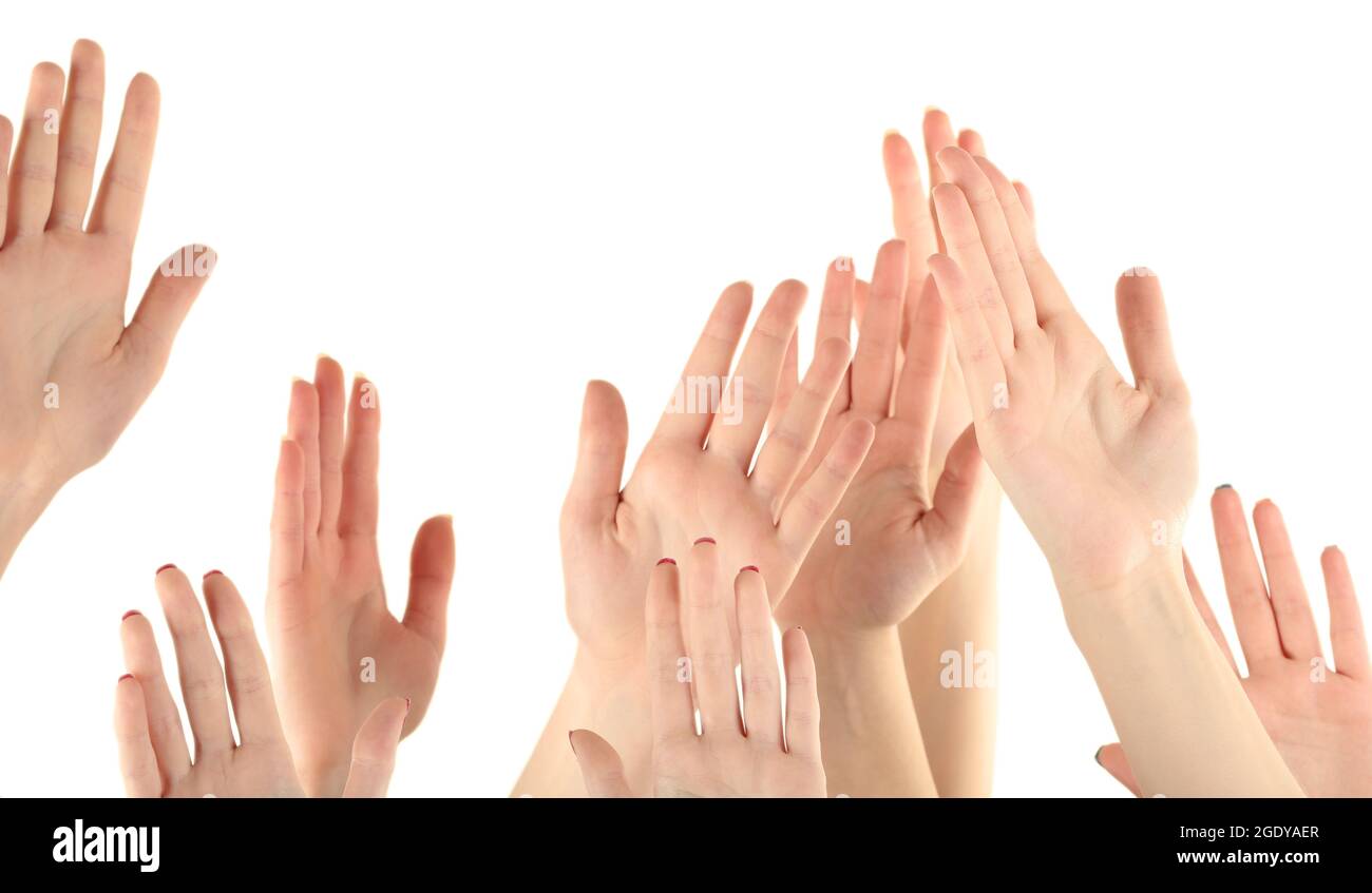 Group of people raising hands isolated on white background Stock Photo ...