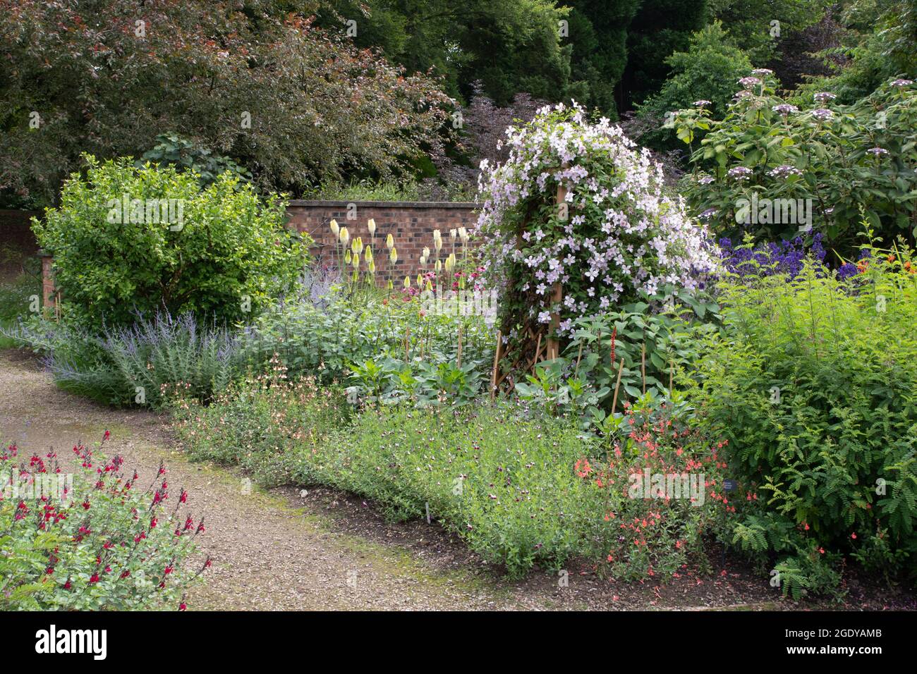 Plants gardens yellow hi-res stock photography and images - Alamy