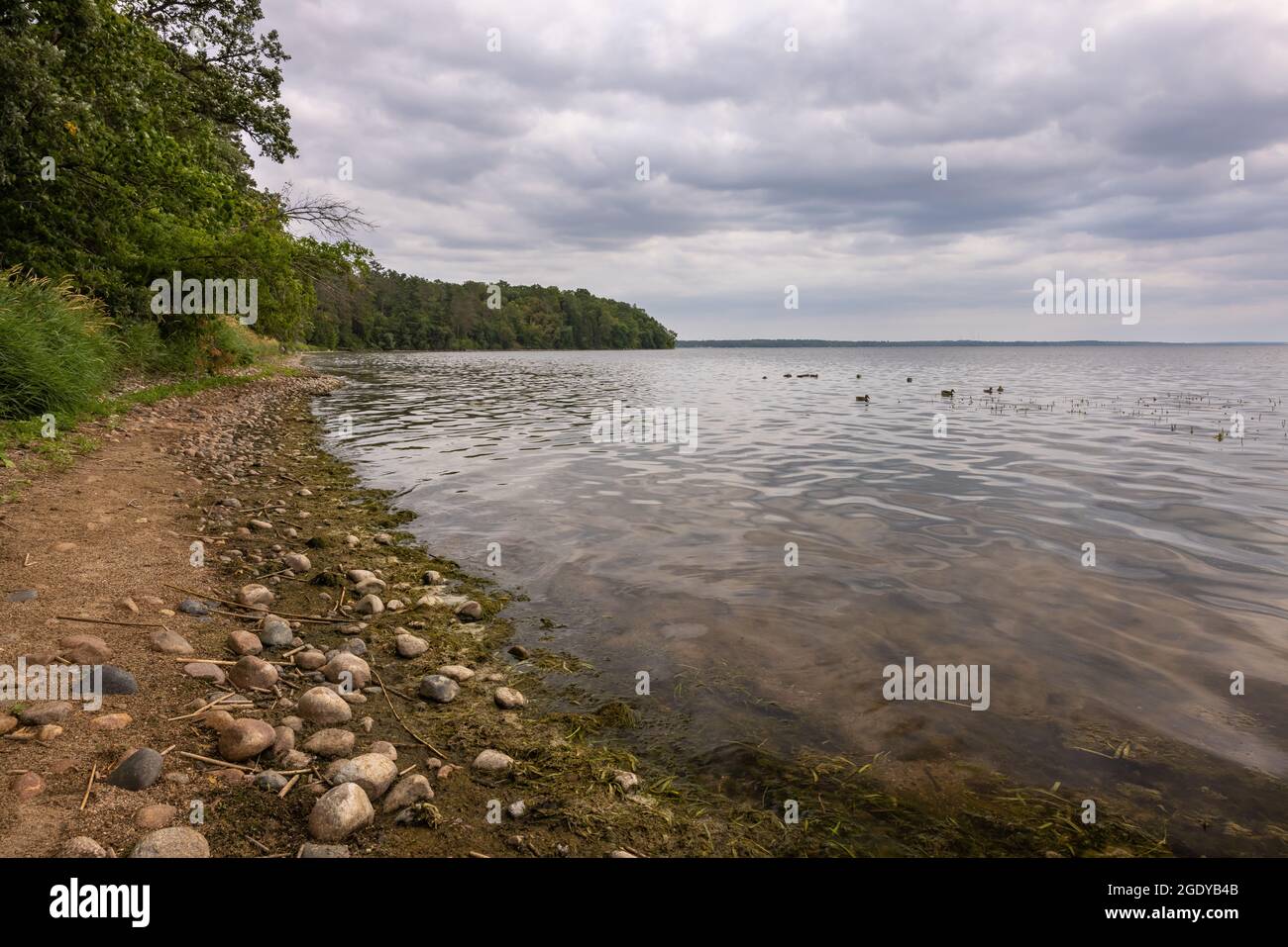 A scenic northern Minnesota lake Stock Photo - Alamy