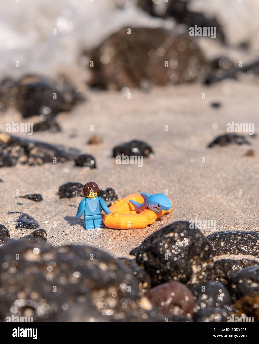 LEGO shark minifigure on the beach Stock Photo - Alamy