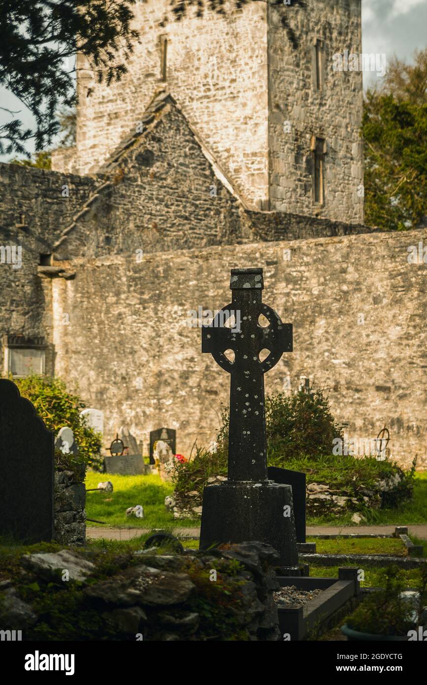 Muckross Abbey ruins in Ireland Stock Photo - Alamy
