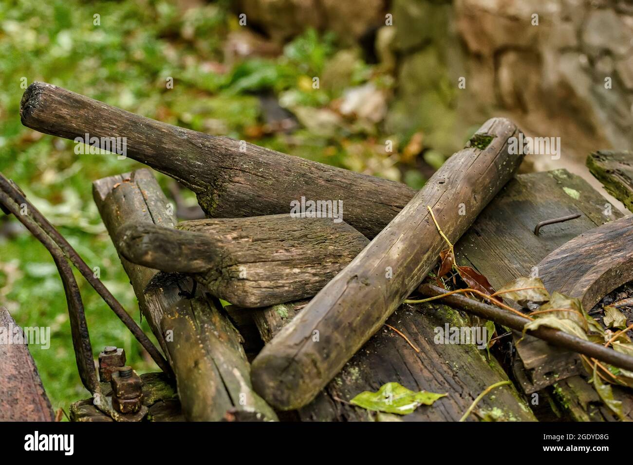 Transverse plate hi-res stock photography and images - Alamy