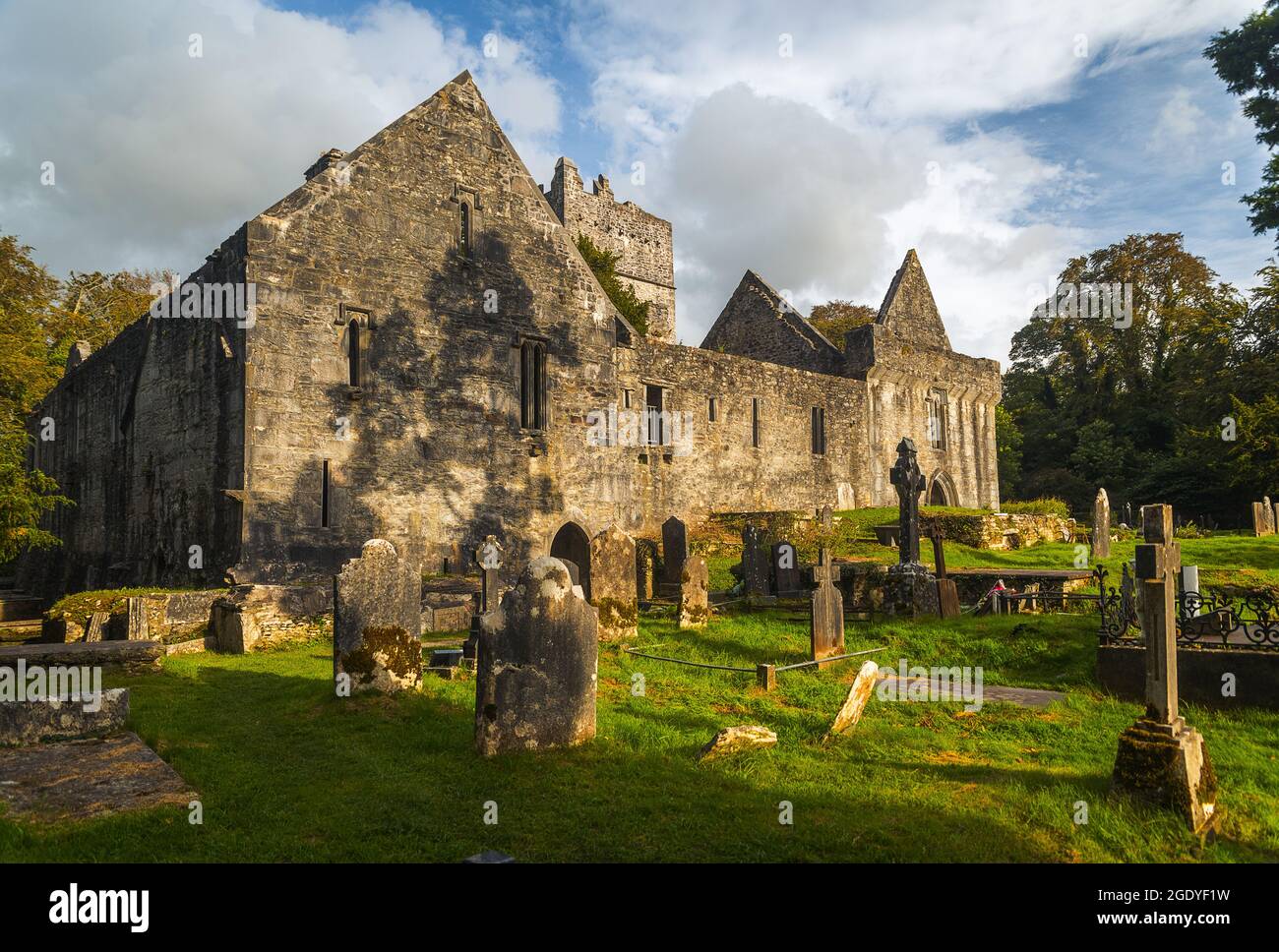 Muckross Abbey ruins in Ireland Stock Photo - Alamy