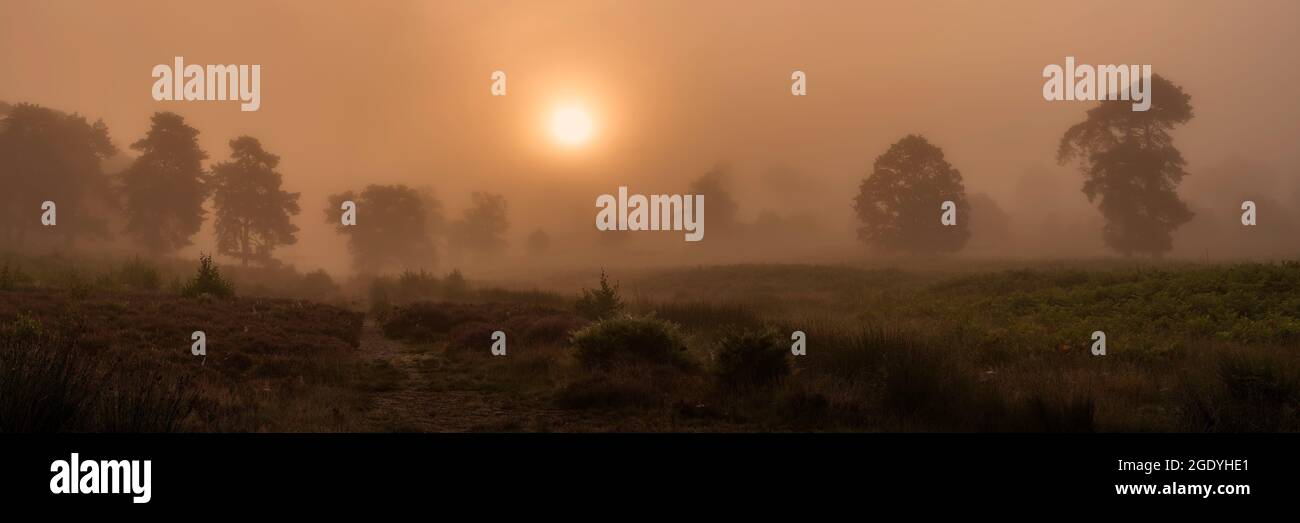 Lord piece common hi-res stock photography and images - Alamy