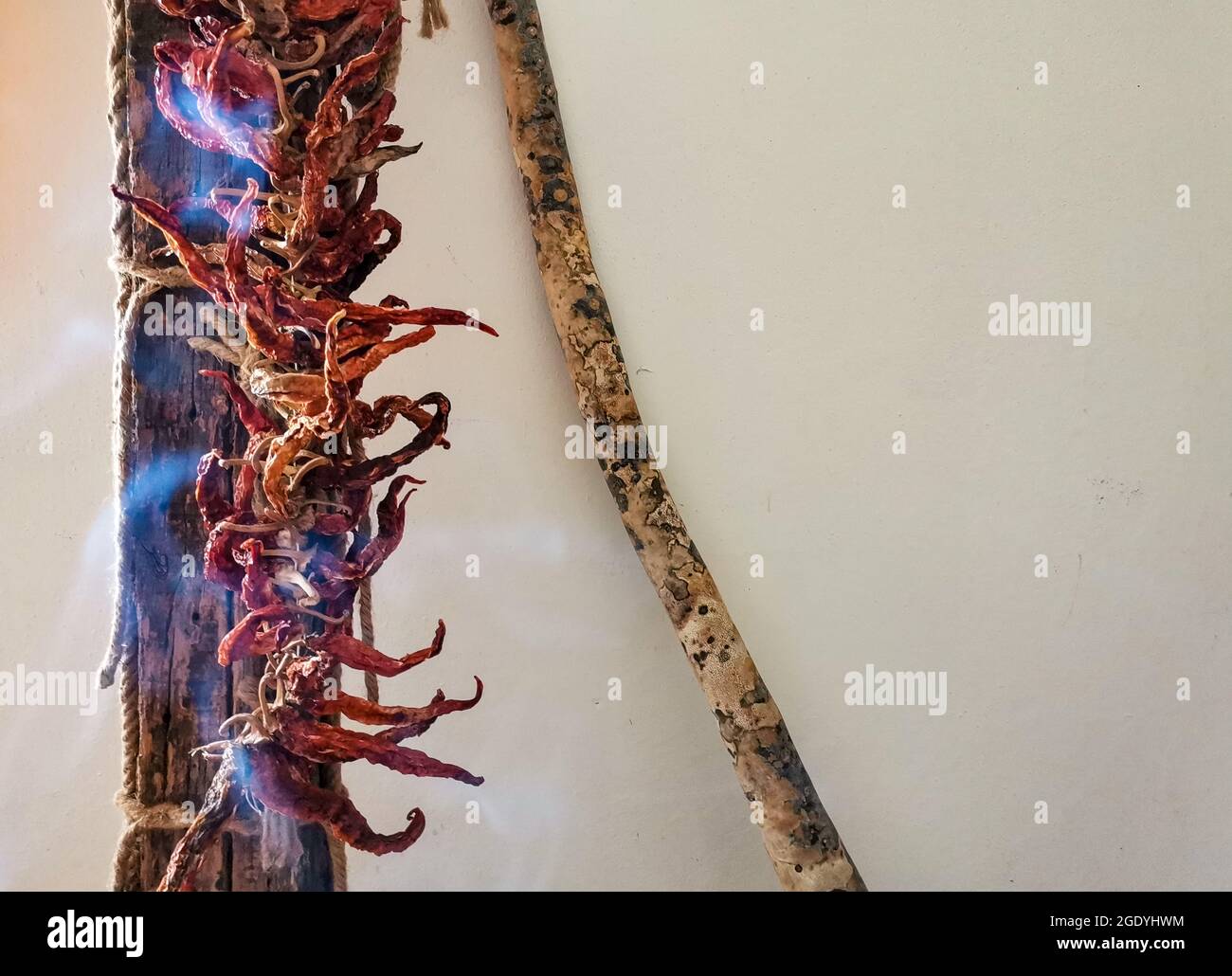 A pile of rotten red chili peppers drying in the sun Stock Photo - Alamy