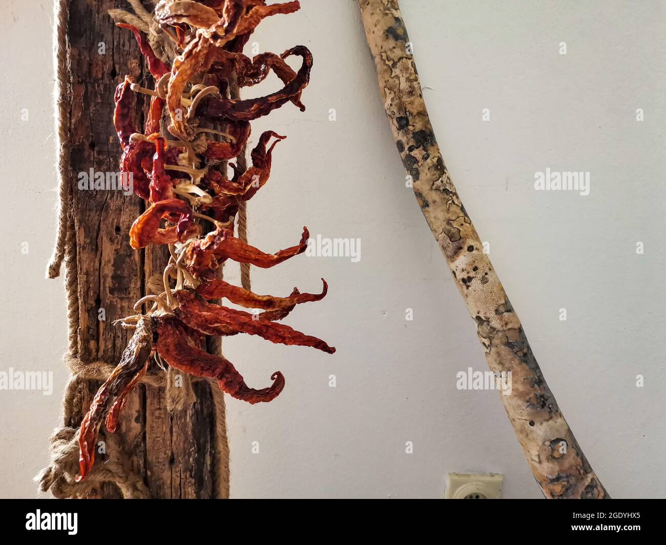 Rotten chili hi-res stock photography and images - Alamy