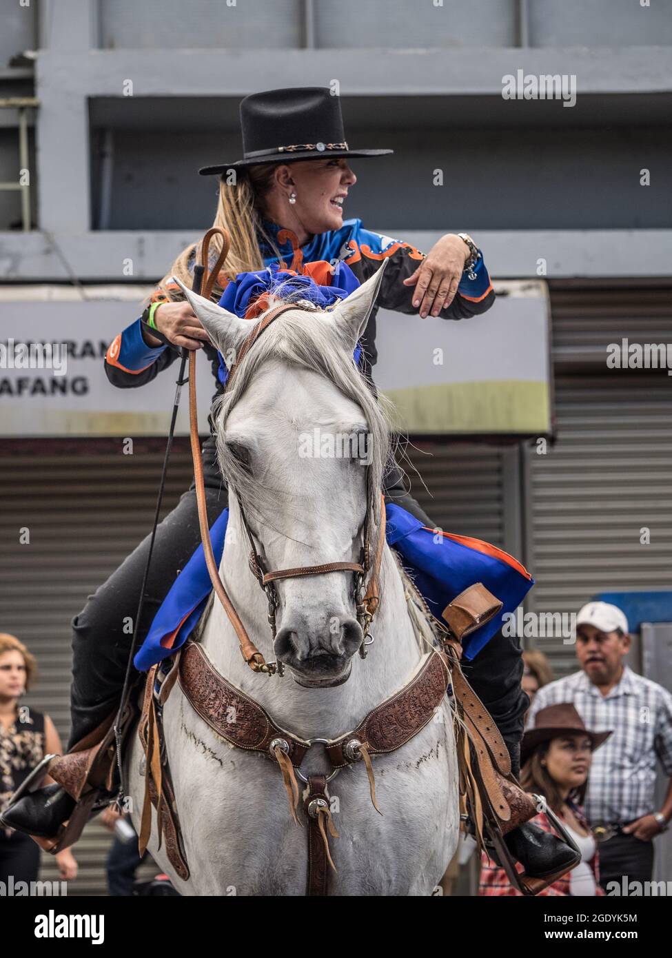 Happy woman riding a white horse (Equus ferus) in an annual horse ...