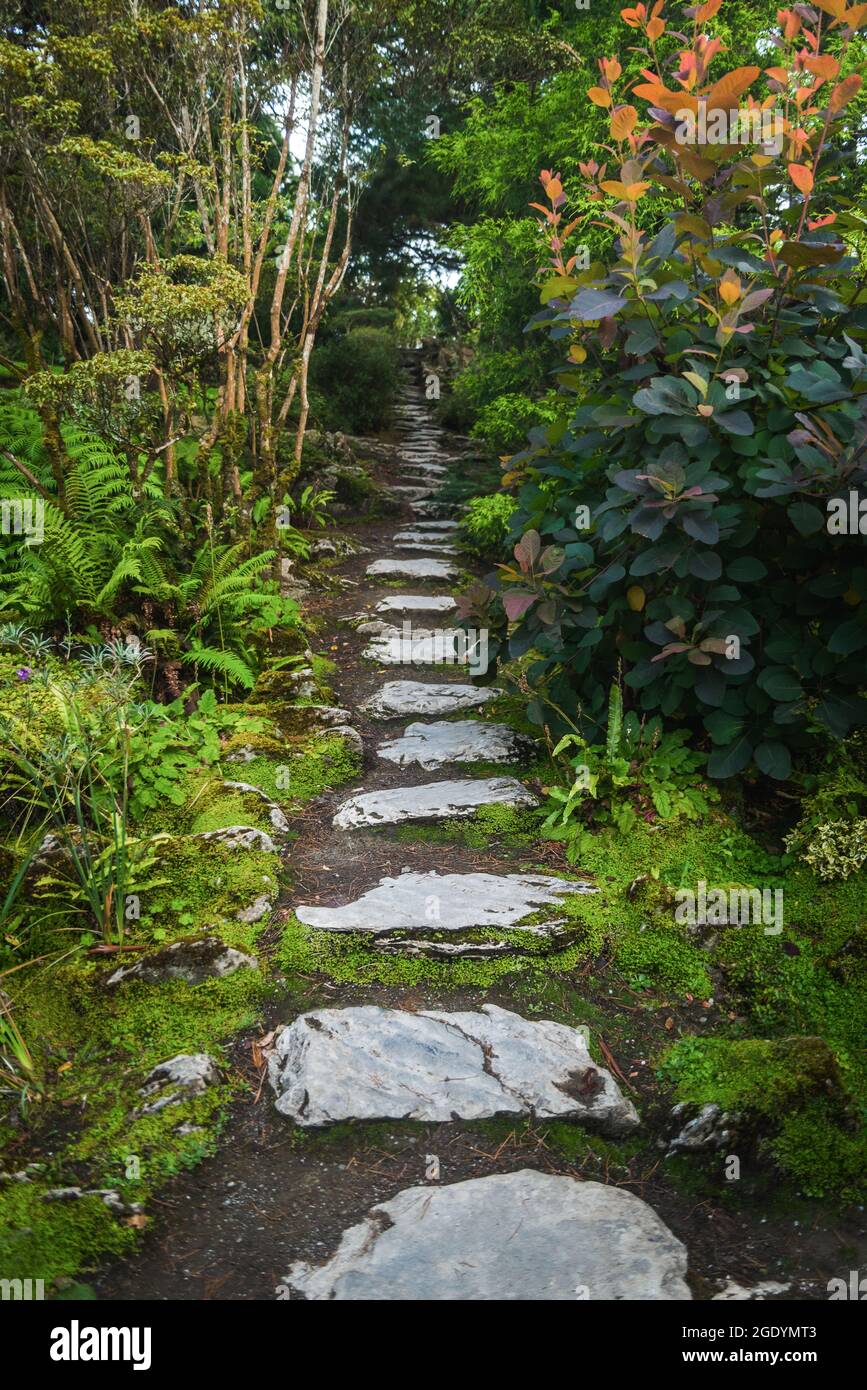 old walkway with stone steps Stock Photo - Alamy