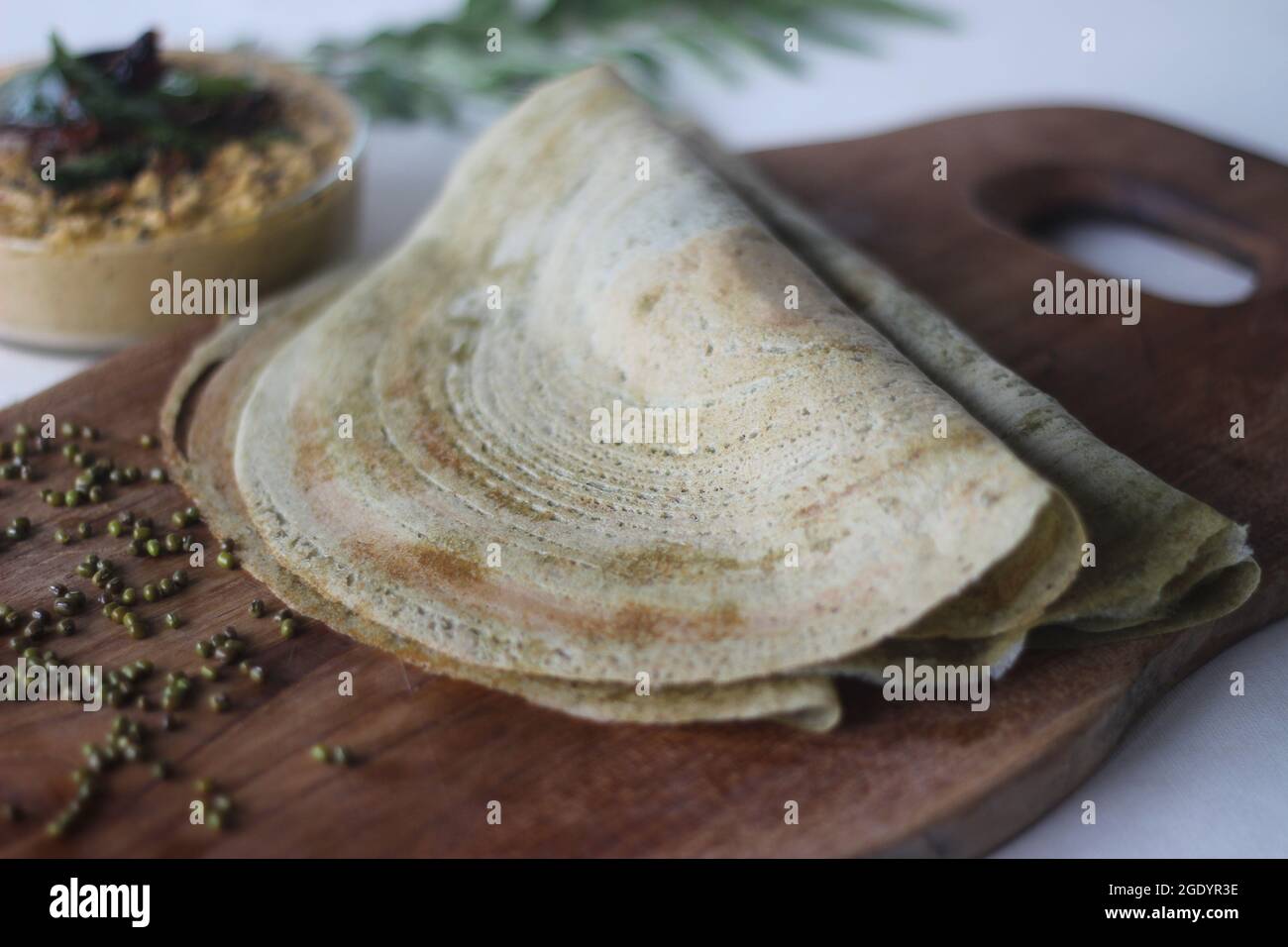 Protein rich moong bean crepe, locally known as pesarattu. It looks ...
