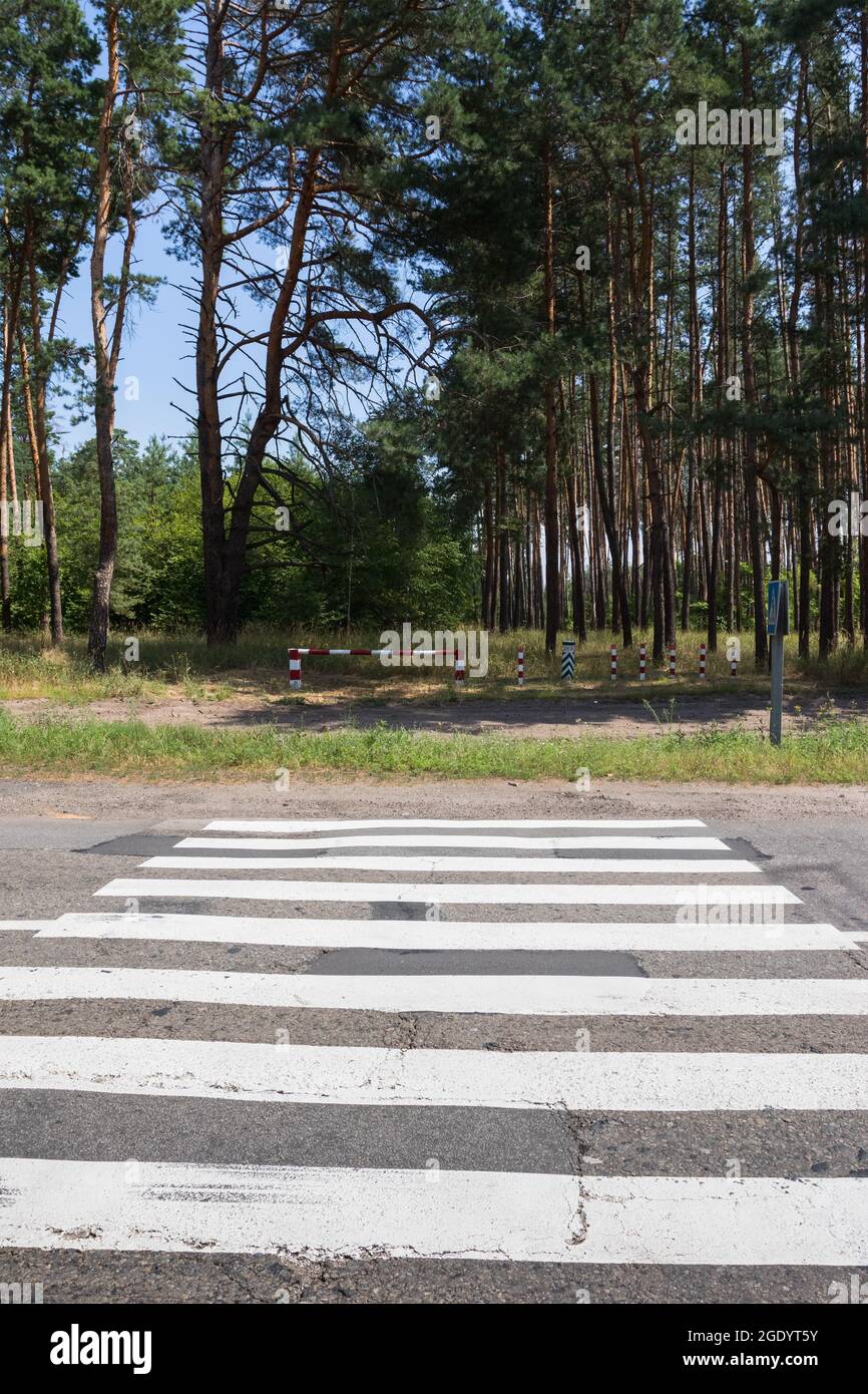 Pedestrian forest path hi-res stock photography and images - Alamy
