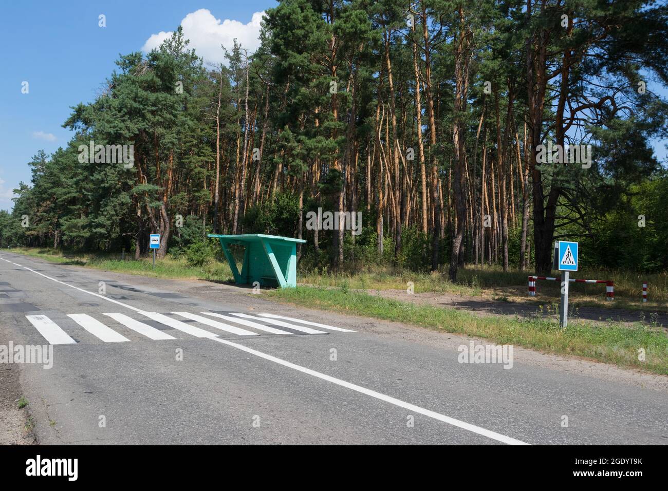 Pedestrian forest path hi-res stock photography and images - Alamy