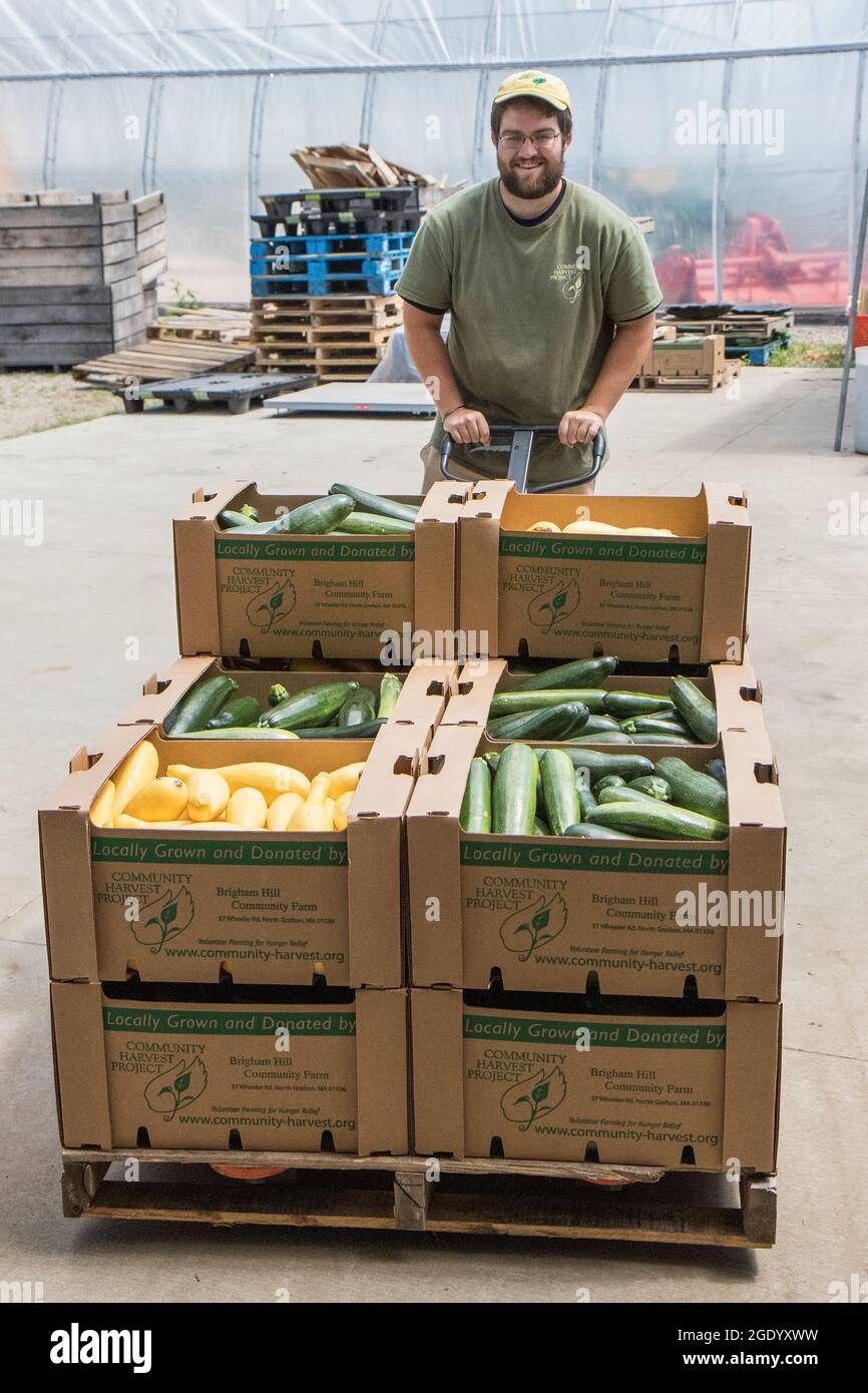 Vegetables boxed up and ready for shipment to stores in Massachusetts ...