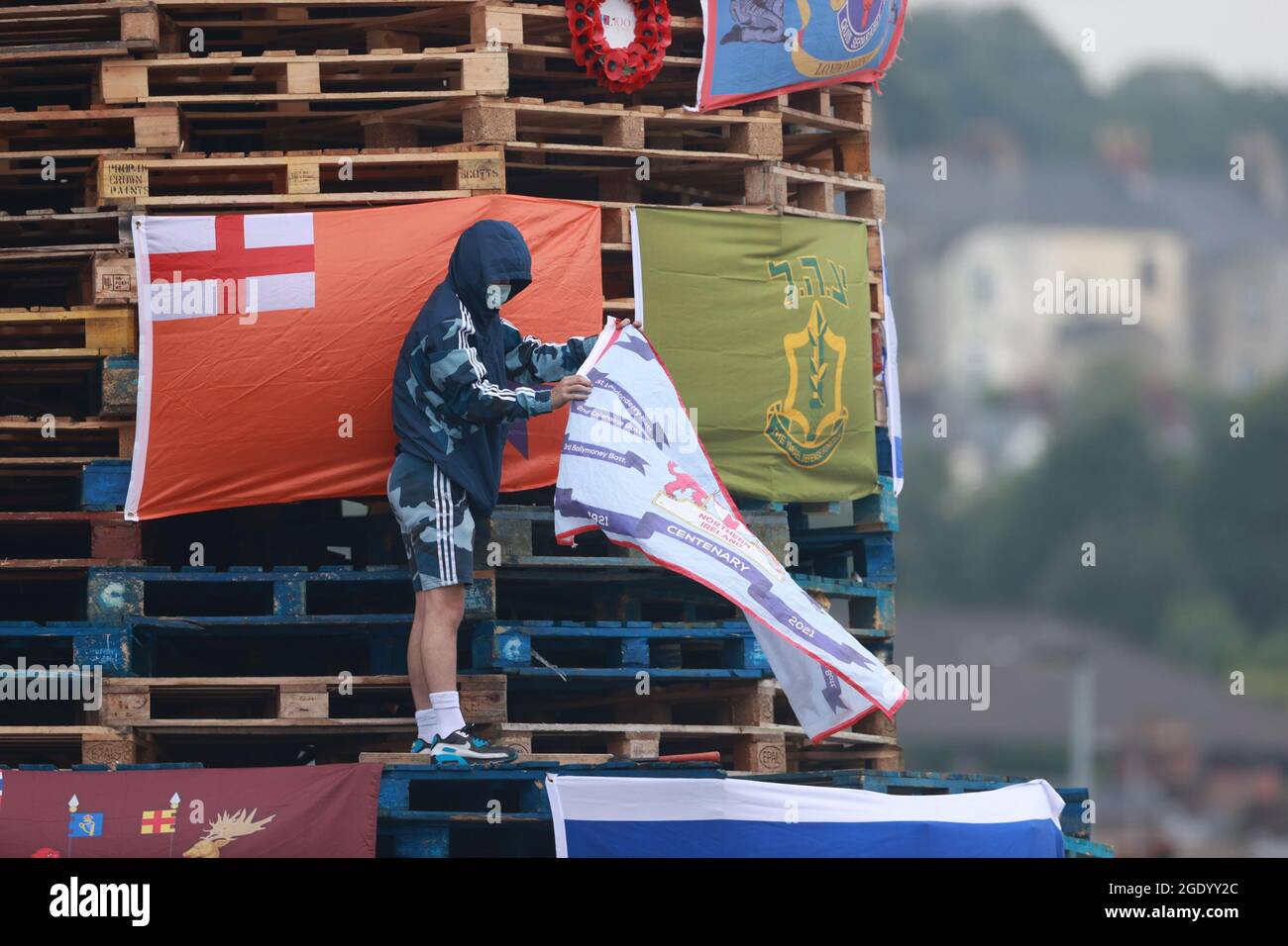Flags are hung on a large bonfire being built to mark the Catholic ...