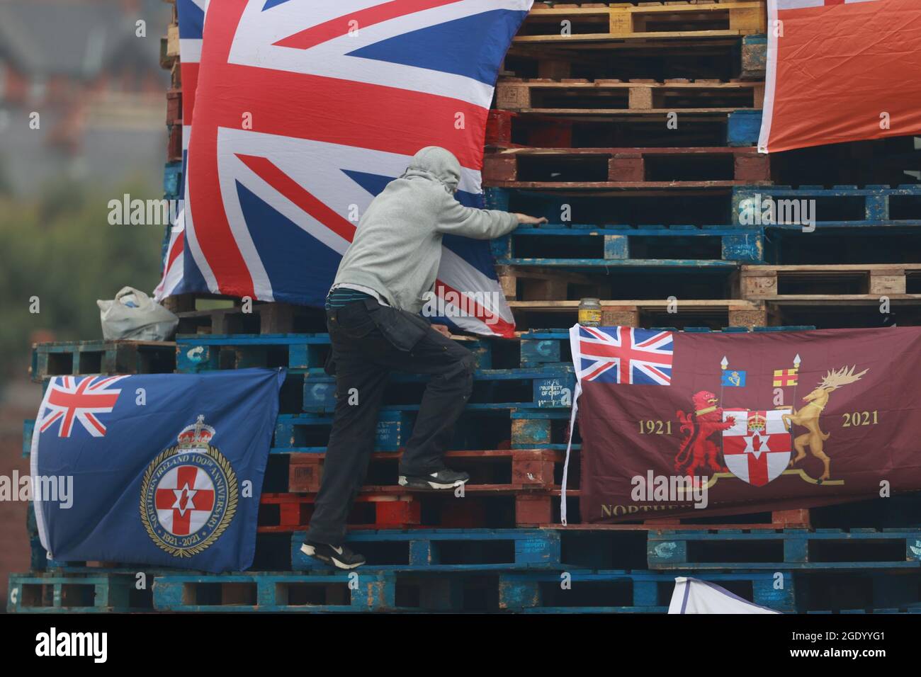 Flags are hung on a large bonfire being built to mark the Catholic ...