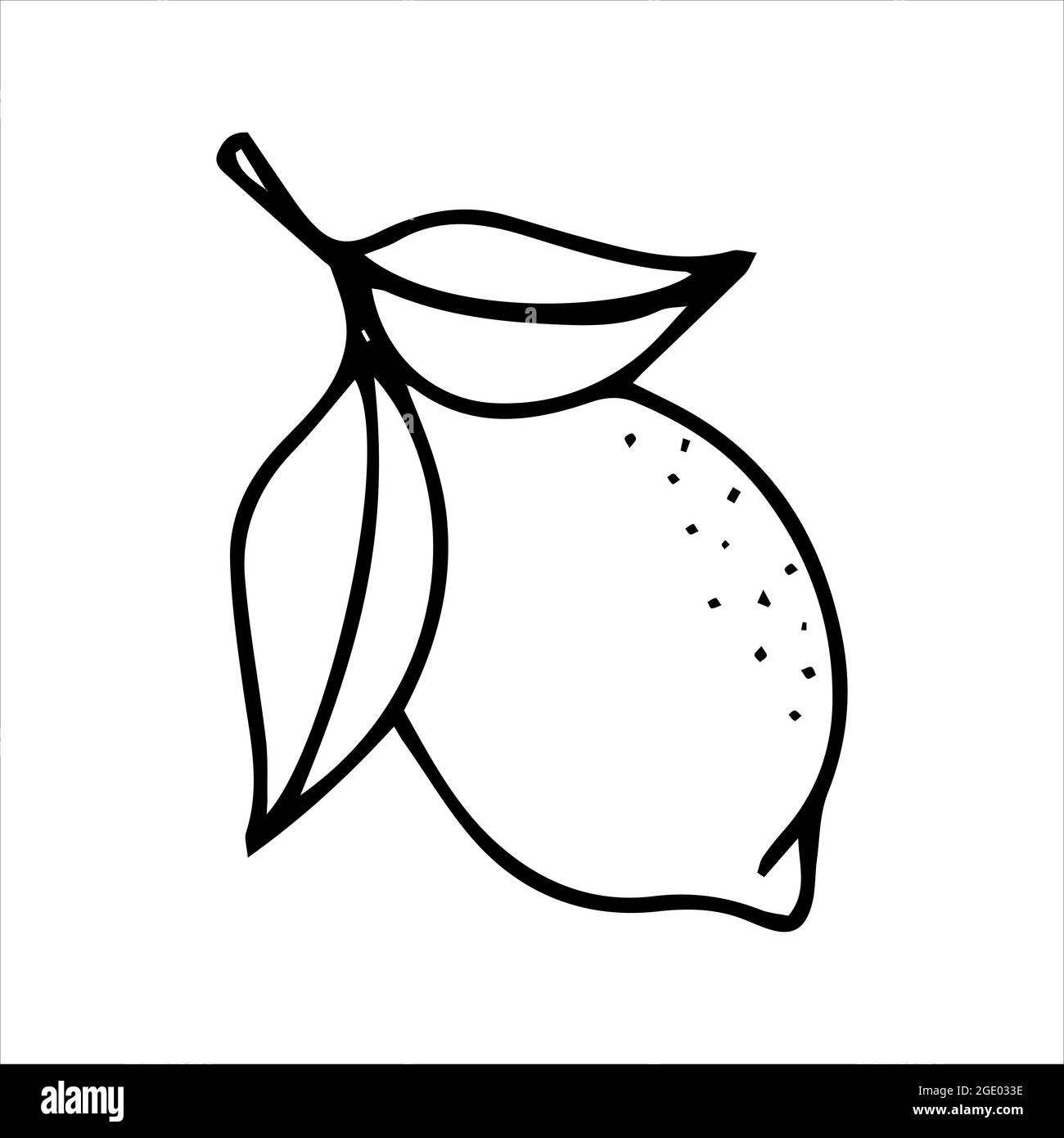 vector cartoon fresh lemon. lemon doodle icon illustration Stock Vector ...