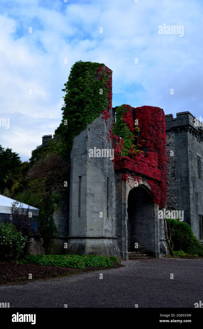 Beautiful scottish stone castle ruins Stock Photo - Alamy
