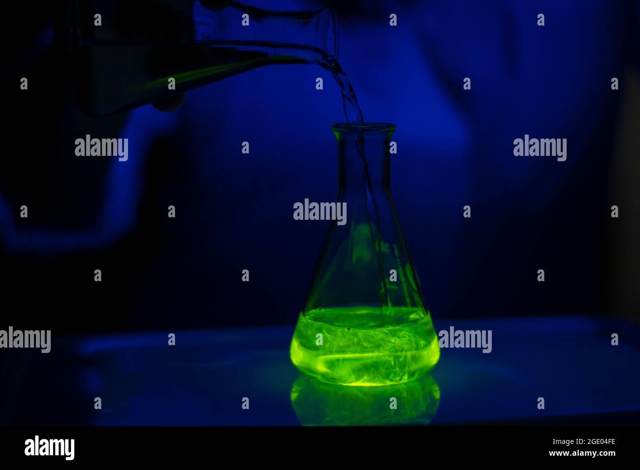 A researcher working with a fluorescent solution in a glass conical ...