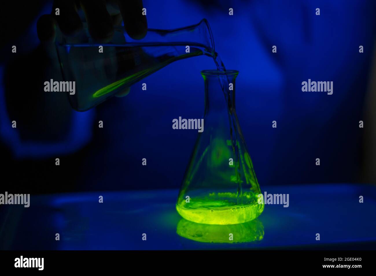 A researcher experimenting with a green fluorescent material reaction ...