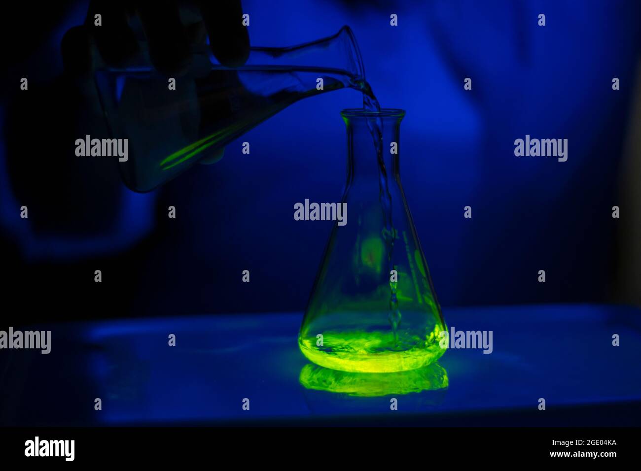 A researcher experimenting with a green fluorescent compound in a glass ...