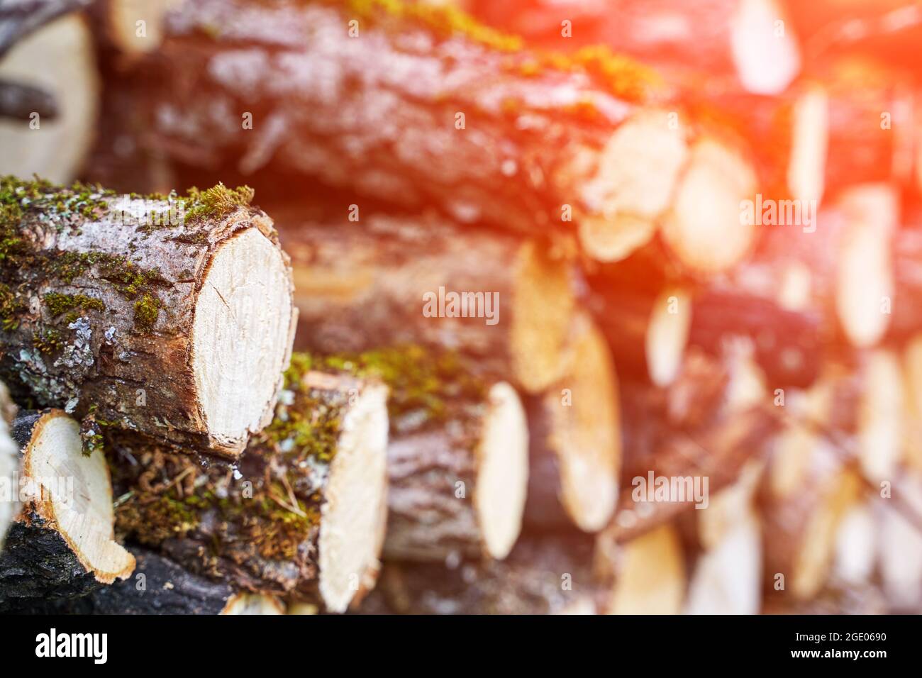 Wood chop stove. Woodpile texture background. Trees store. Hardwood ...