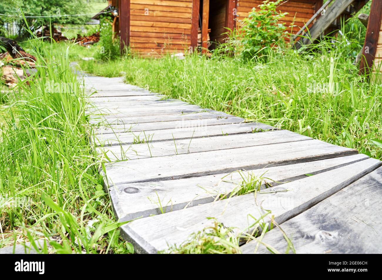 Wooden path at forest. Long track. Pathway hike board Stock Photo - Alamy