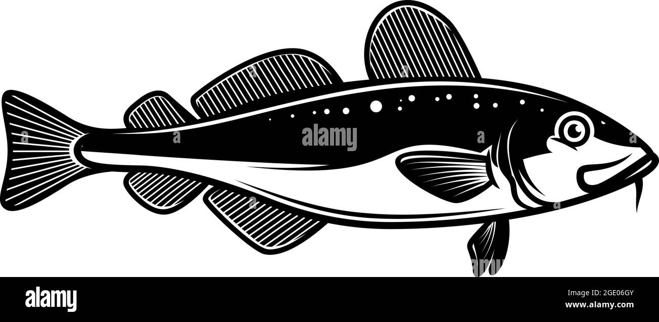 Atlantic cod fish gadus morhua Stock Vector Images - Alamy