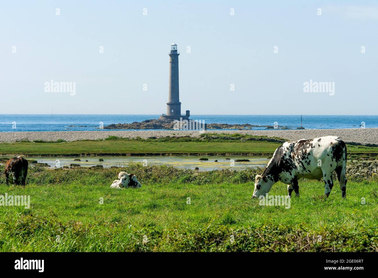 Lighthouse Calves High Resolution Stock Photography and Images - Alamy