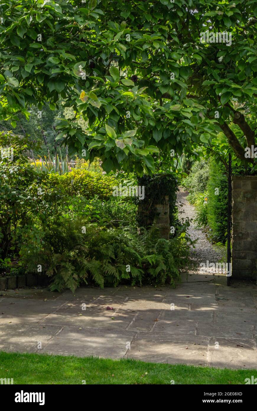 A shaded garden gate in Leeds, Yorkshire Stock Photo - Alamy