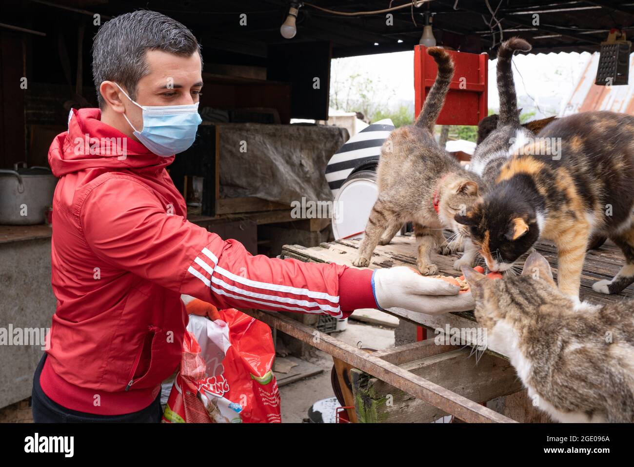 Man feeding cats hi-res stock photography and images - Alamy