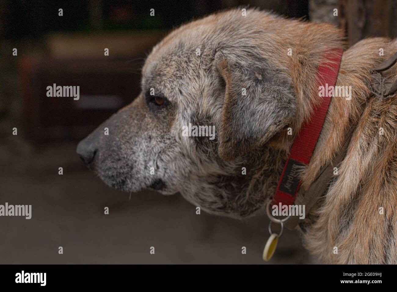 Helping homeless empathy hi-res stock photography and images - Alamy