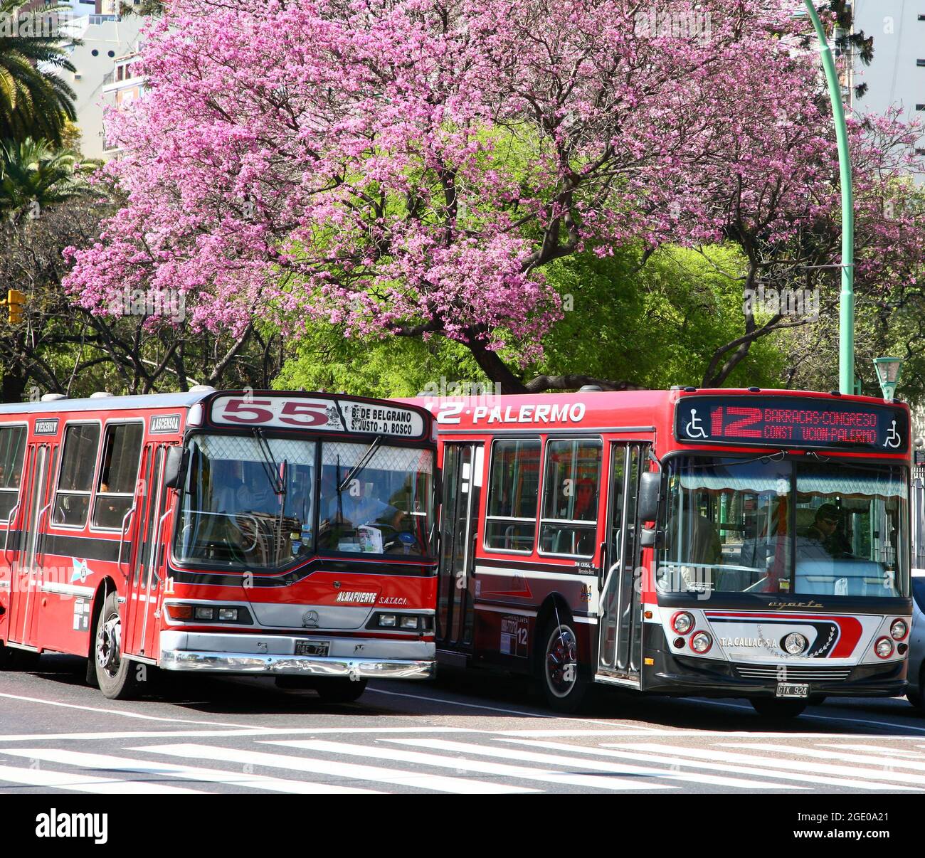 Colourful Bus in the streets in Buenos Aires Argentina 2009 Stock Photo ...