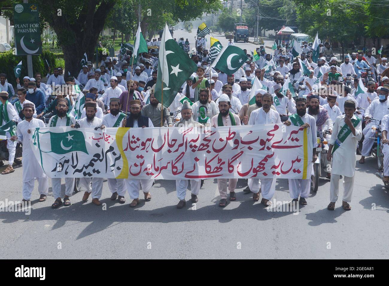 Pakistani people from different walk holding national flags as they ...
