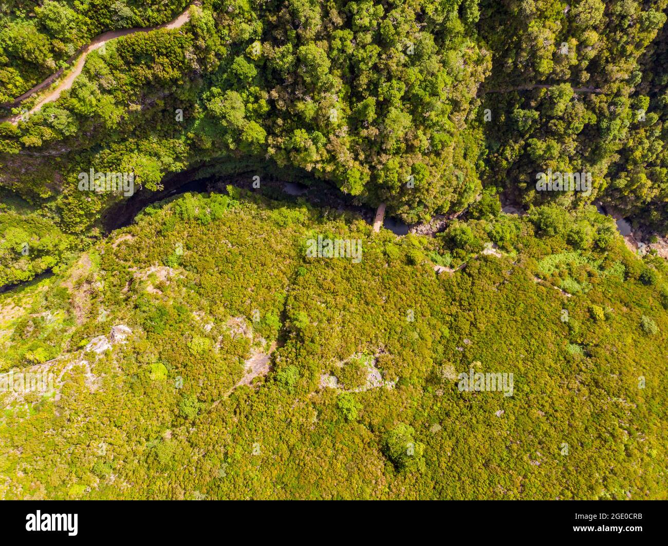 Drop down view of river runing through forest Stock Photo - Alamy