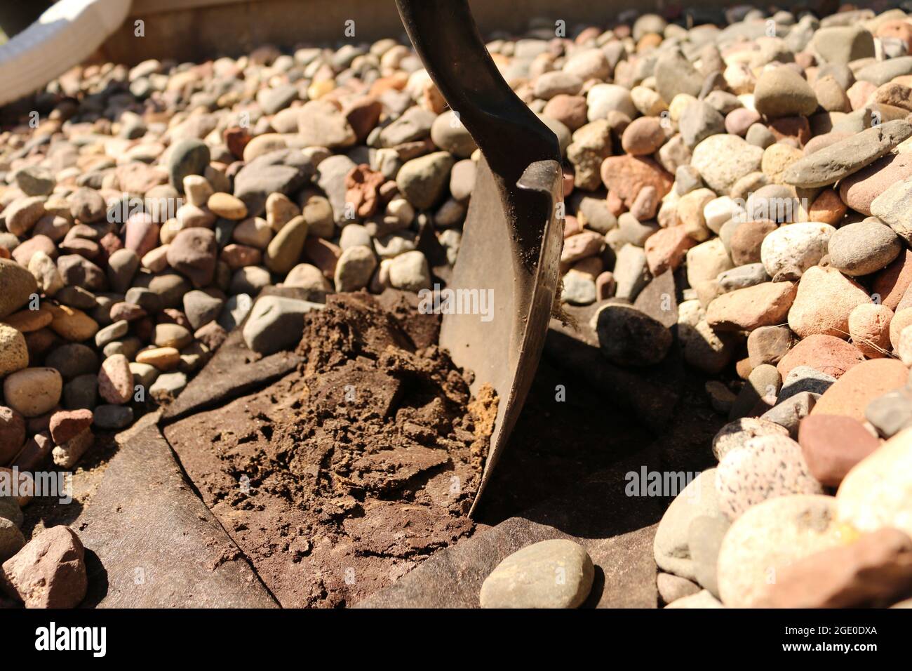 Digging a hole using a shovel Stock Photo - Alamy