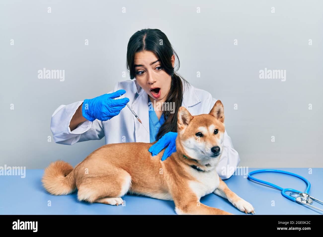 Beautiful hispanic veterinarian woman putting vaccine to puppy dog ...