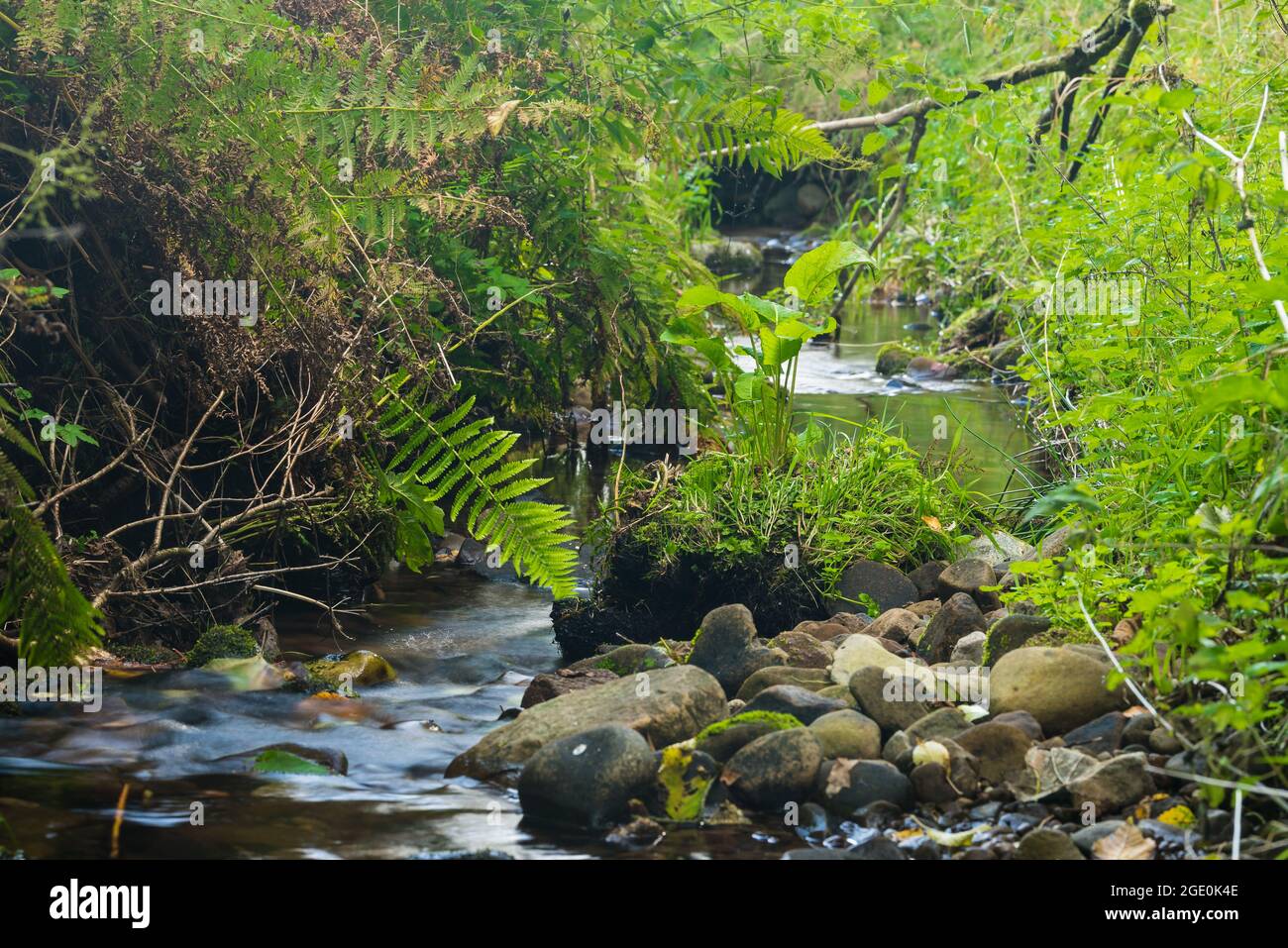 Meandering stone wall hi-res stock photography and images - Alamy
